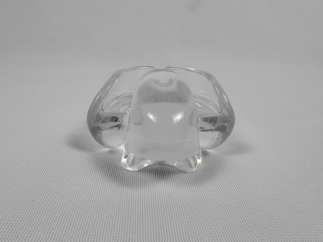 Transparent Mouth Guard With Smooth Front (not for Use in Sports) - Etsy