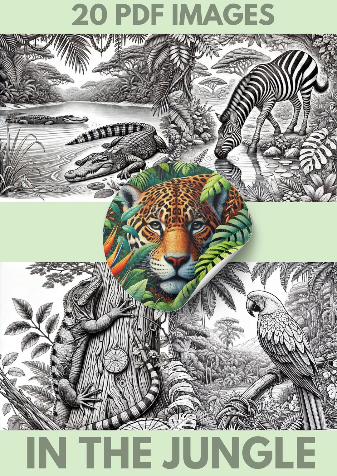 20 Jungle Animals Coloring Book, Printable Jungle Coloring Pages ...