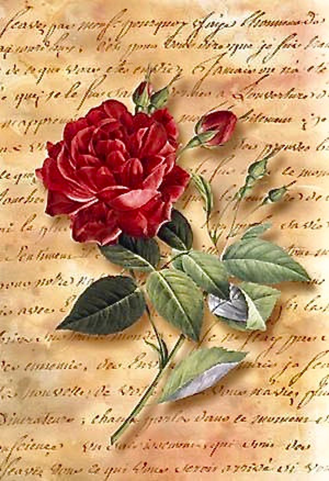 Vintage Red Rose Script Words Graphic Image Art Fabric Block Doodaba - Etsy