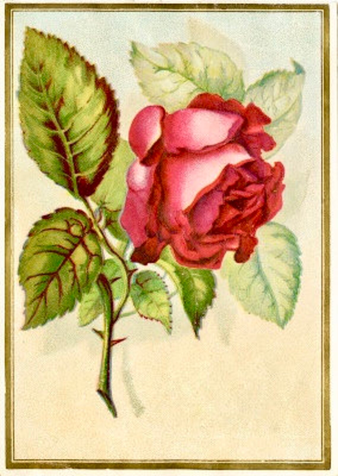 Vintage Victorian Red Rose Graphic Image Art Fabric Block | Etsy