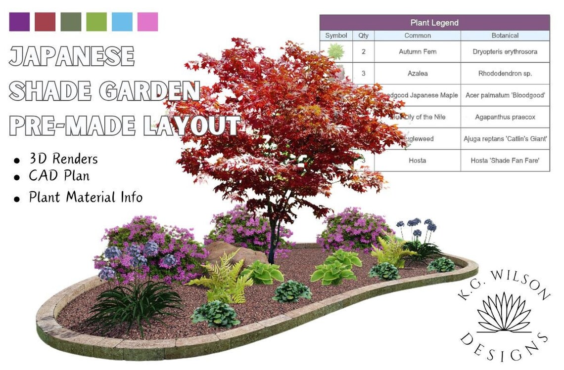 Small Shade Garden Pre-made Template With Japanese Maple - Etsy