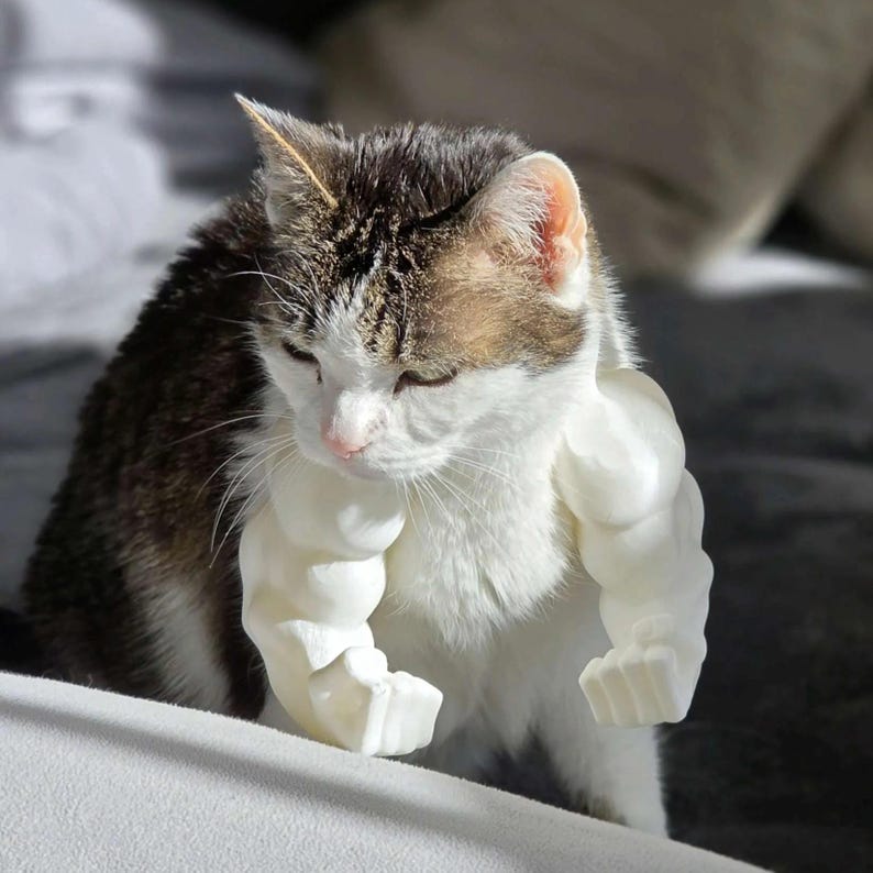 Hulk Arms Cat Costume: 3D Printed Superhero Pet Accessories - Etsy
