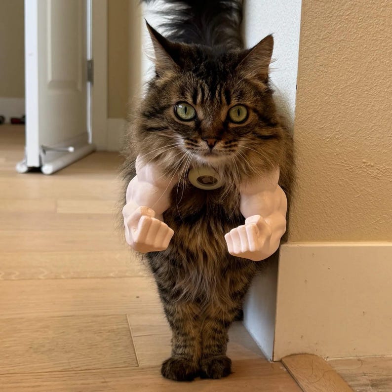 Hulk Arms Cat Costume: 3D Printed Superhero Pet Accessories - Etsy