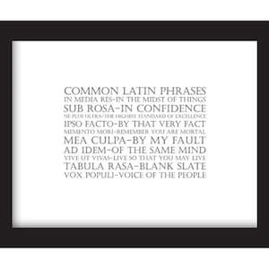 Common Legal Latin Phrases and Lawyer Terms FRAMED Print: Modern ...