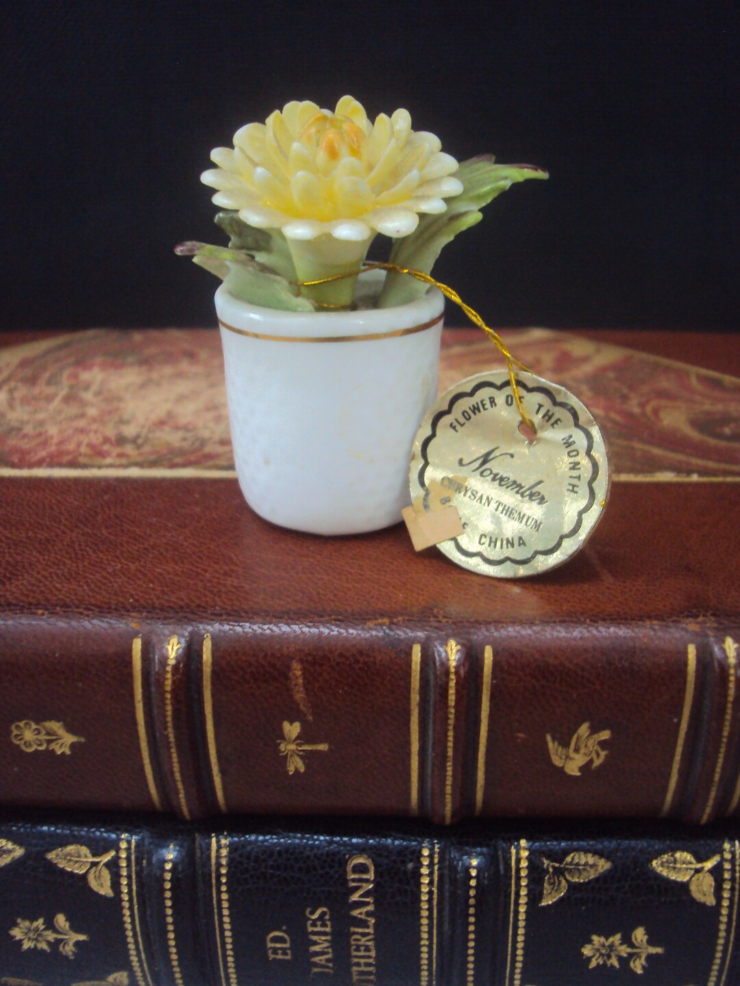 Vintage Maruri Masterpiece Bone China 2 Inch Chrysanthemum November Birthday Thimble Flower of ...