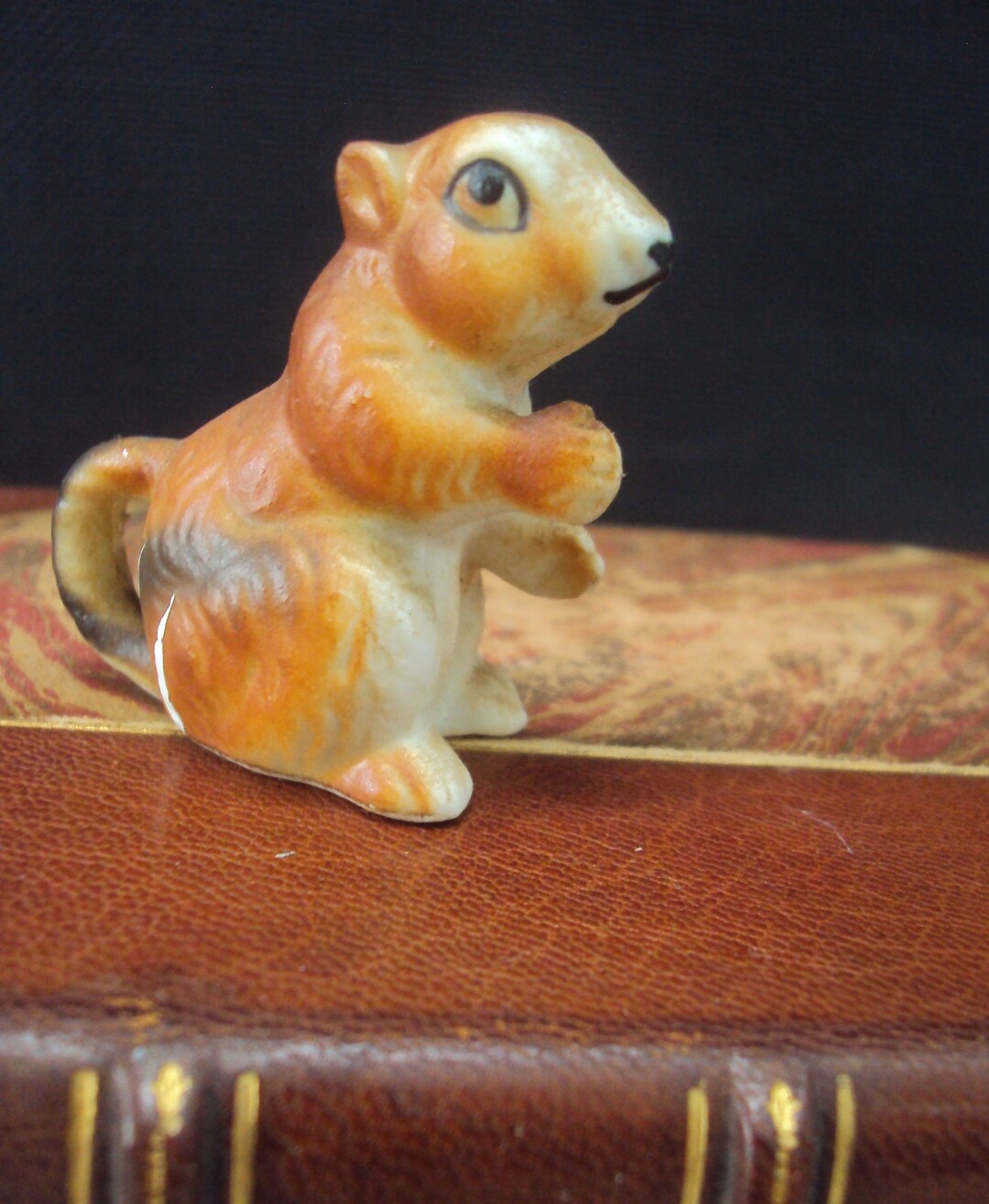 Vintage Miniature Ceramic Chipmunk Terrarium Fairy Garden Figurine - Etsy