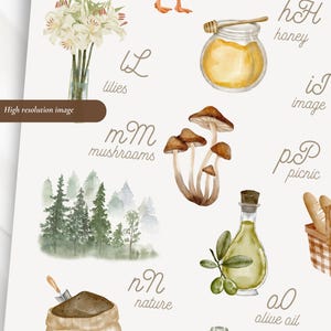 Cottagecore Alphabet Chart | Neutral Color Kid's Room Decor ...