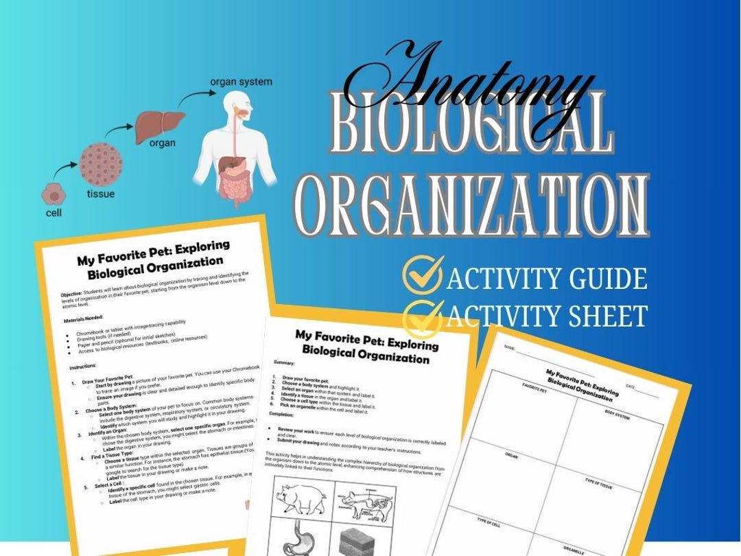 Biological Organization (cell to Organism) Activity Sheet With ...