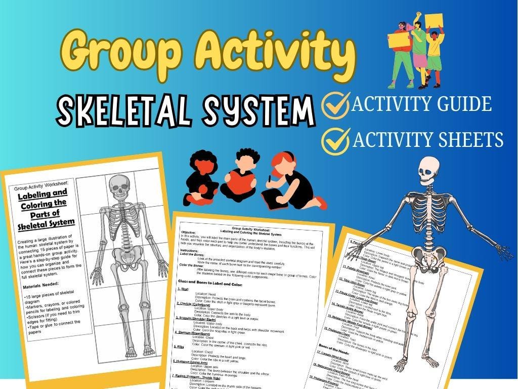 Skeletal System Big Illustration, Group Activity With Instructions ...