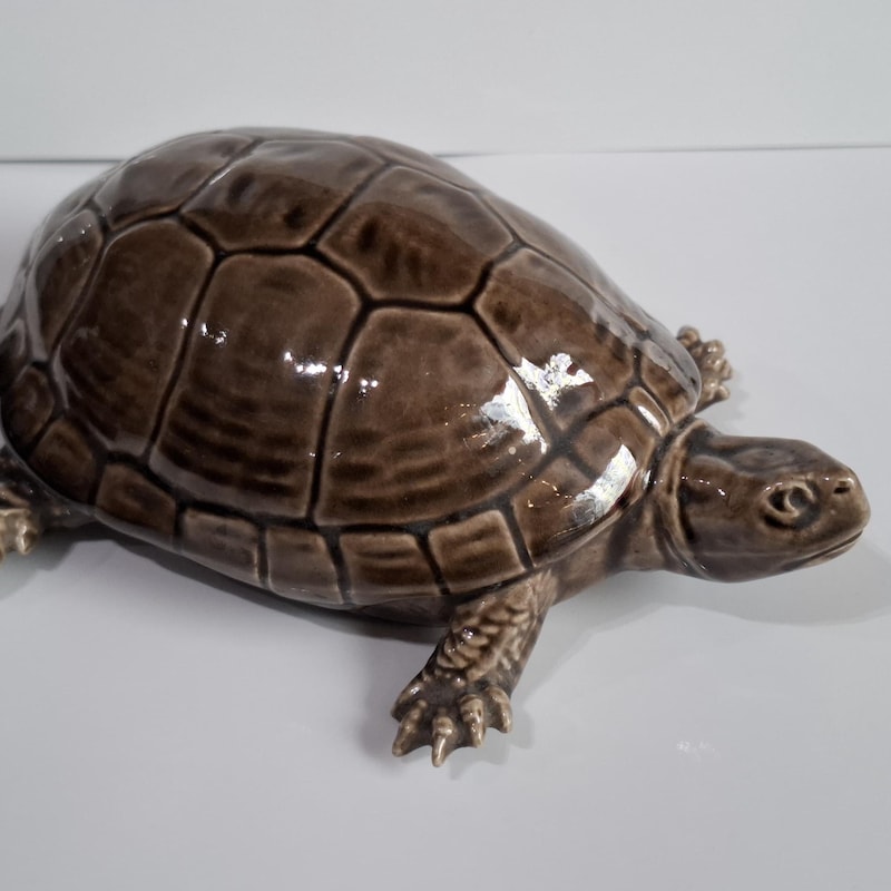 Porcelain Turtle - Etsy