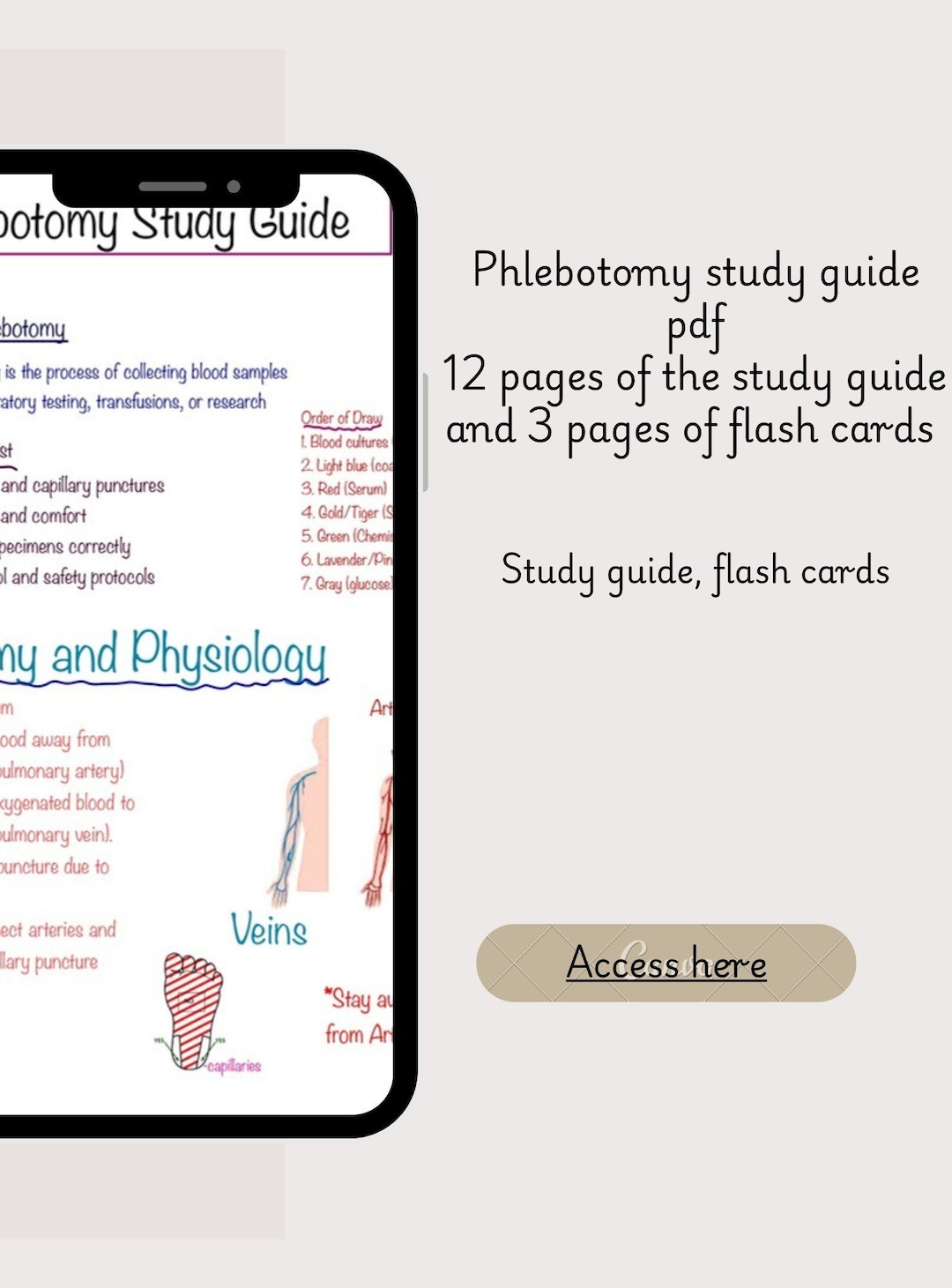 Phlebotomy CPT Study Guide | Order of Draw, Vein Anatomy (digital ...