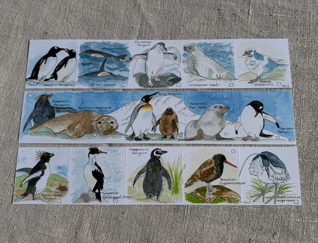 Hand Drawn and Painted Falklands, South Georgia and Antarctica Wildlife ...
