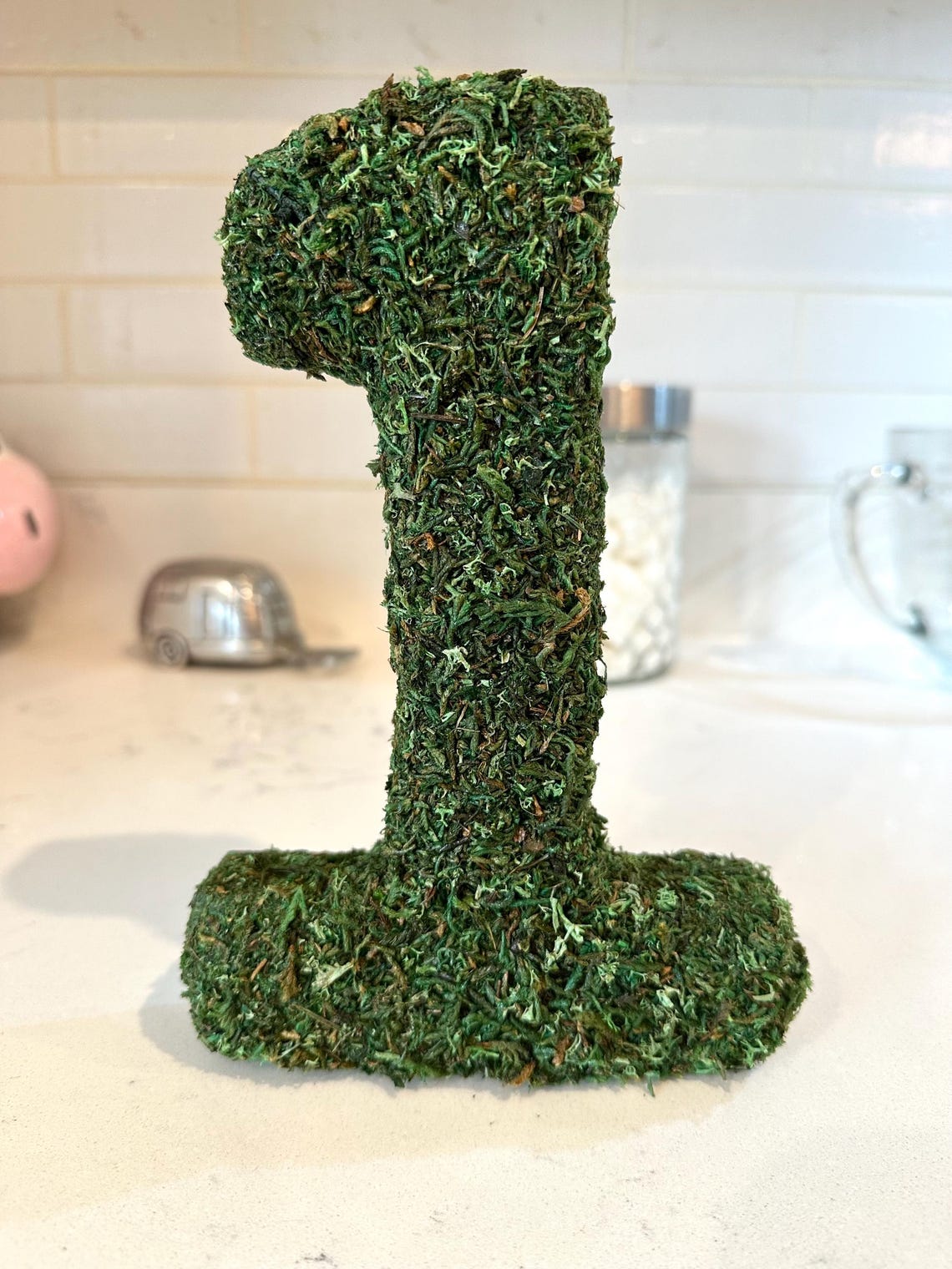 8 Inch Moss Letters Moss Numbers Moss Animals Reindeer Moss Nursery ...
