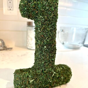 8 Inch Moss Letters Moss Numbers Moss Animals Reindeer Moss Nursery ...