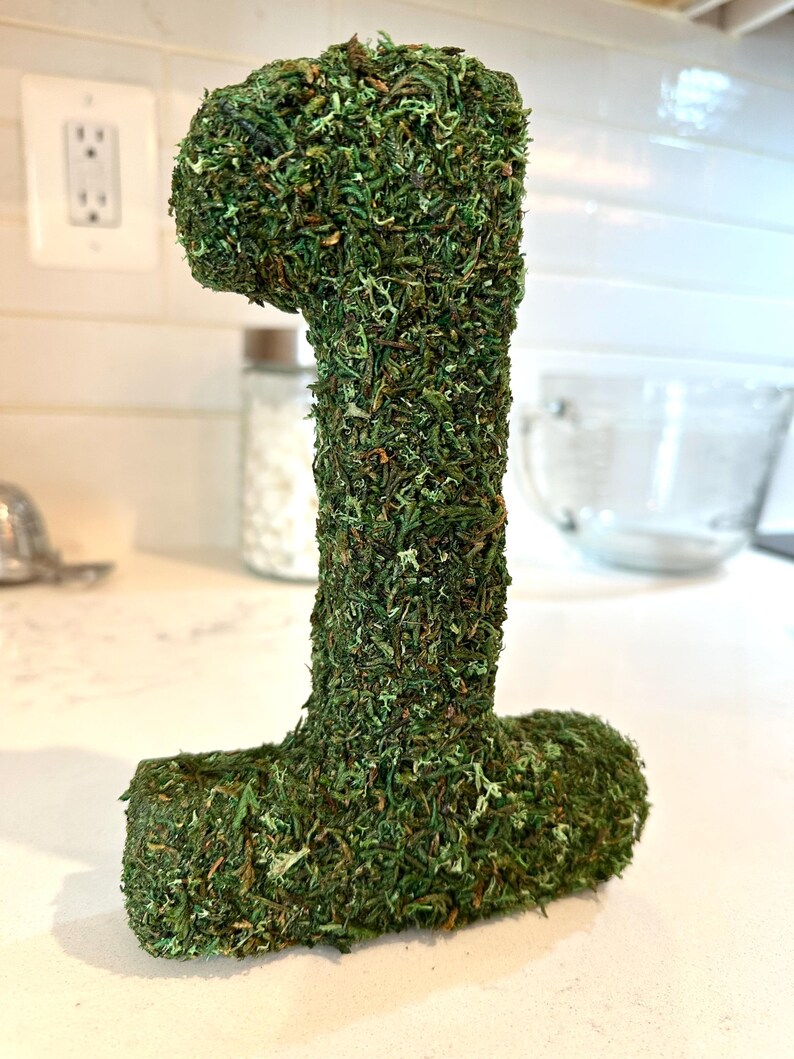 8 Inch Moss Letters Moss Numbers Moss Animals Reindeer Moss Nursery ...