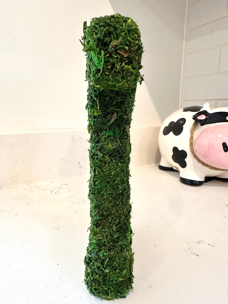 8 Inch Moss Letters Moss Numbers Moss Animals Reindeer Moss Nursery ...