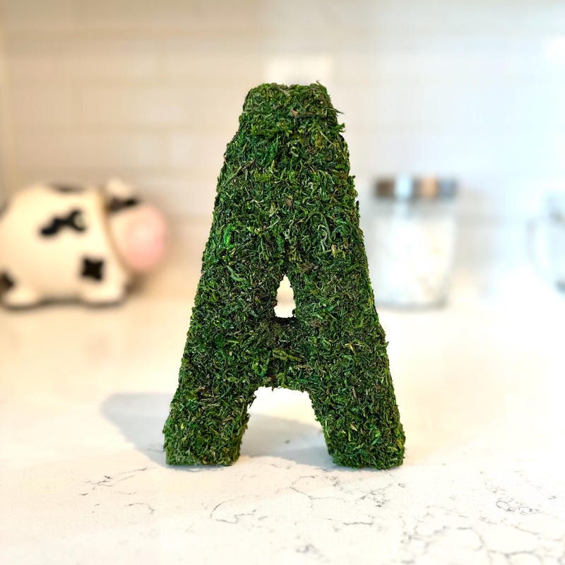 Moss Letter - Etsy