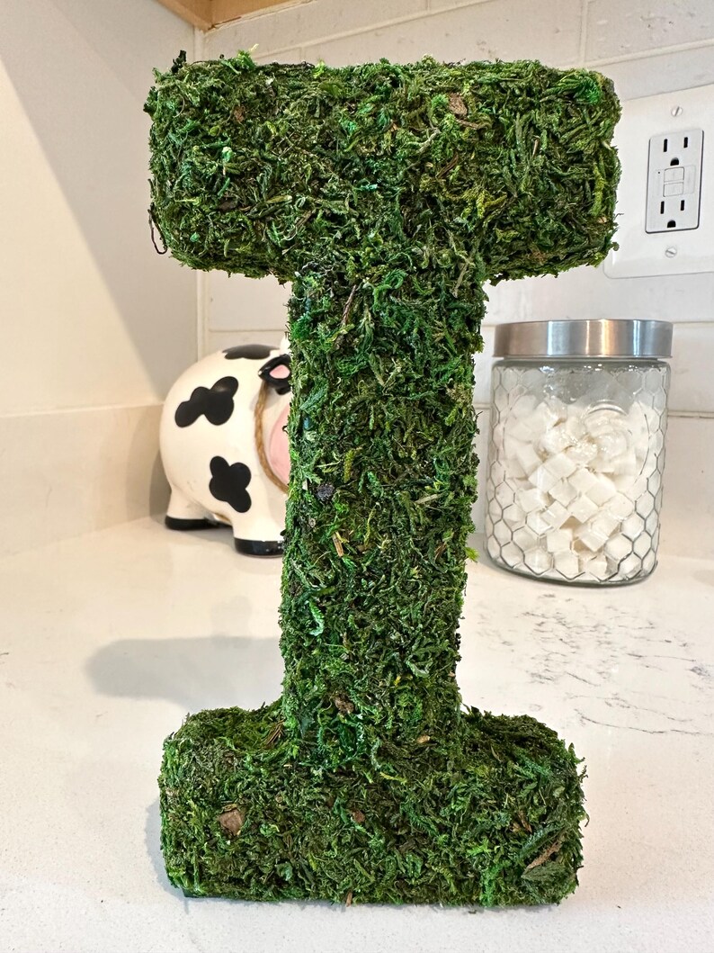 8 Inch Moss Letters Moss Numbers Moss Animals Reindeer Moss Nursery ...