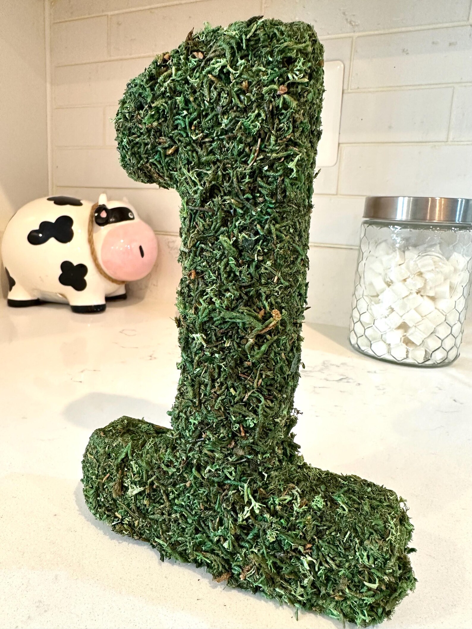 8 Inch Moss Letters Moss Numbers Moss Animals Reindeer Moss Nursery ...