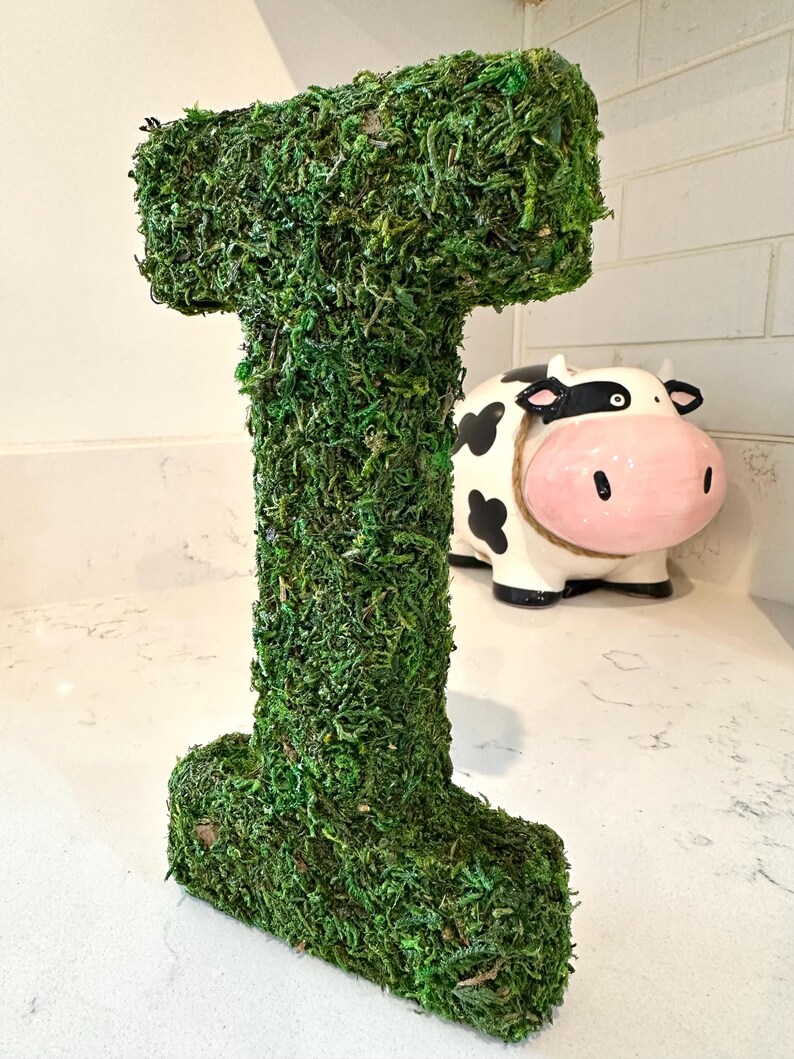 8 Inch Moss Letters Moss Numbers Moss Animals Reindeer Moss Nursery ...