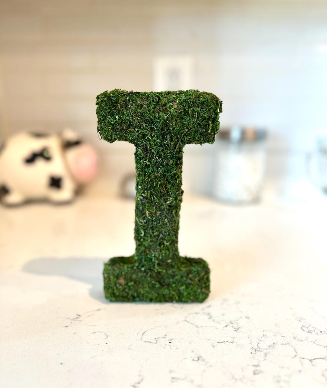 8 Inch Moss Letters Moss Numbers Moss Animals Reindeer Moss Nursery ...