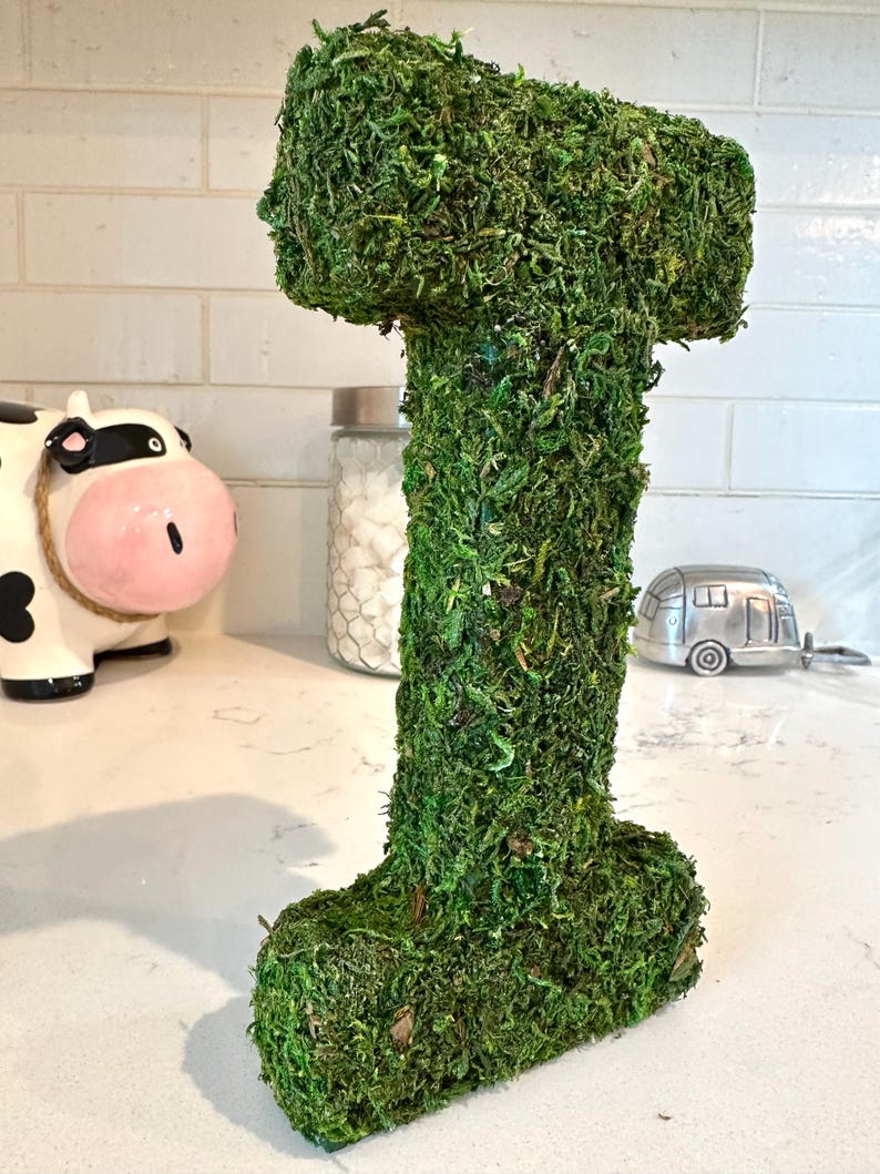 8 Inch Moss Letters Moss Numbers Moss Animals Reindeer Moss Nursery ...