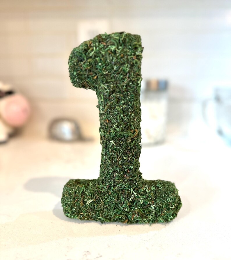 8 Inch Moss Letters Moss Numbers Moss Animals Reindeer Moss Nursery ...