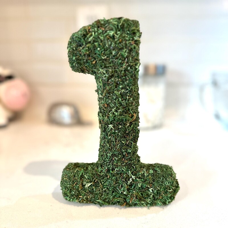 Moss Sign - Etsy