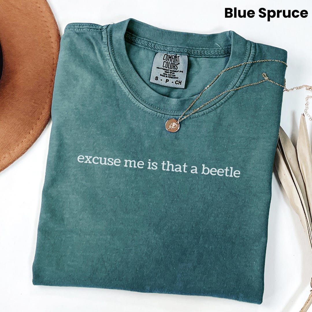 Entschuldigung, das ist ein Käfer-Shirt, Käfer-Geschenk, Käfer ...