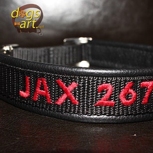 Personalized Dog Collar With Name and Phone, Embroidered, Many Colors ...