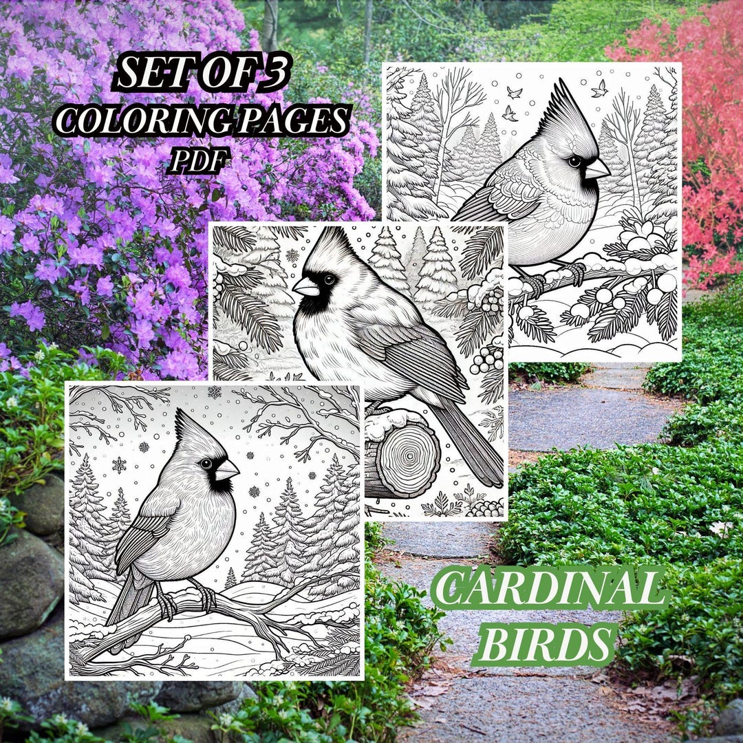 Cardinal Bird Coloring Pages | Winter Coloring | Bird Species | Stress ...