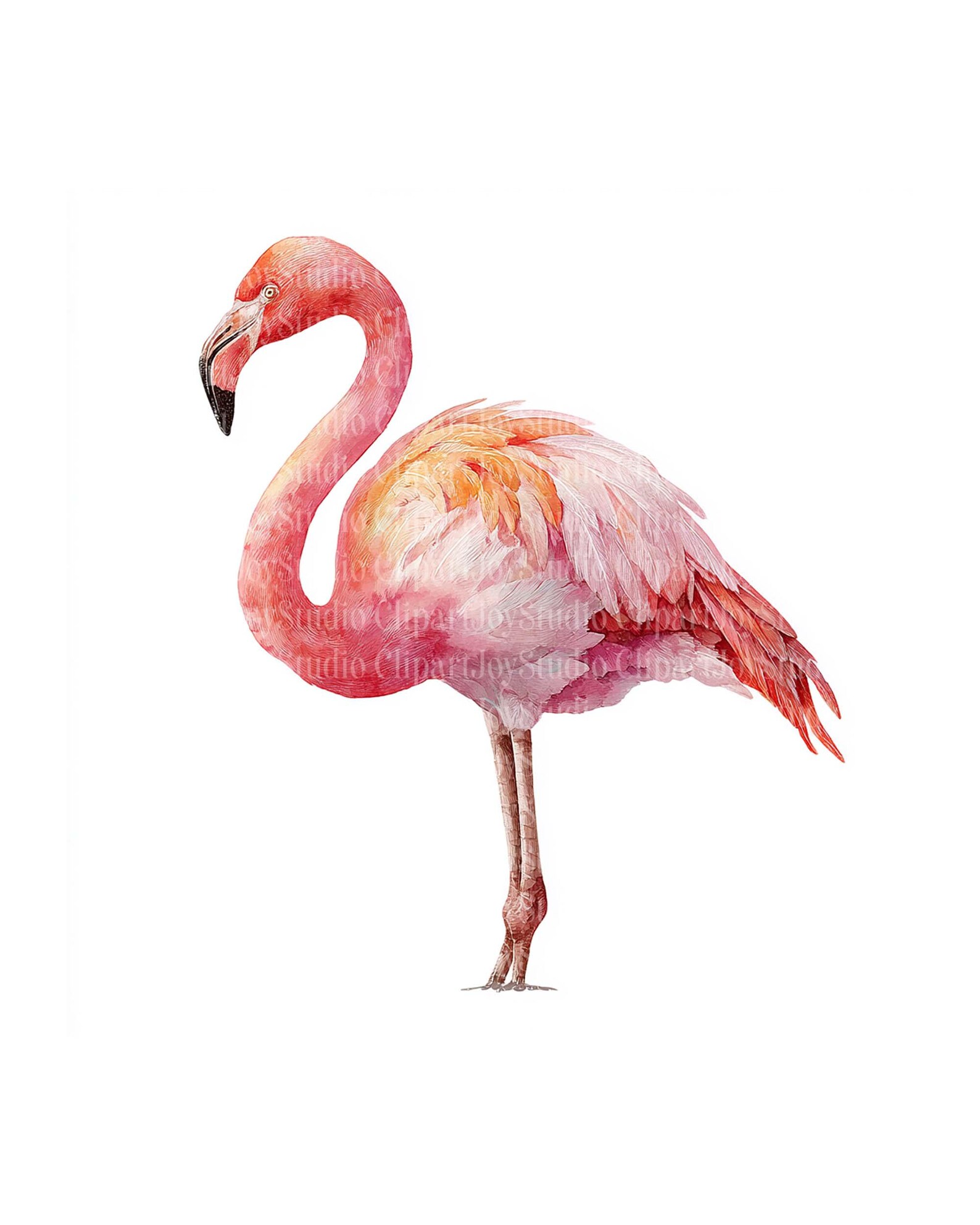 Pink Flamingo Clipart Bundle | Printable Watercolor JPG Images (digital ...