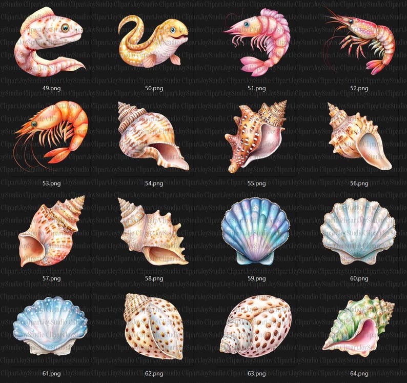 Watercolor Sea Animals Clipart Bundle, Dolphin, Shells, Corals PNG ...