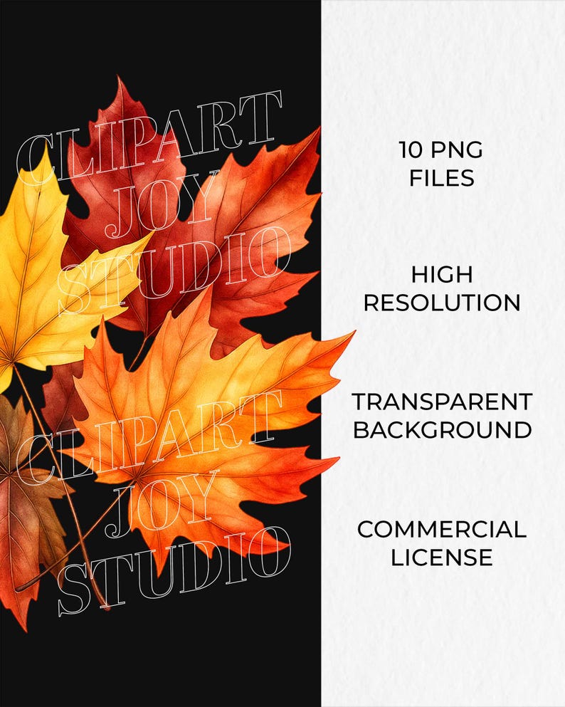 Autumn Leaves Clipart Bundle, Fall Clipart, Autumn PNG Clip Art ...