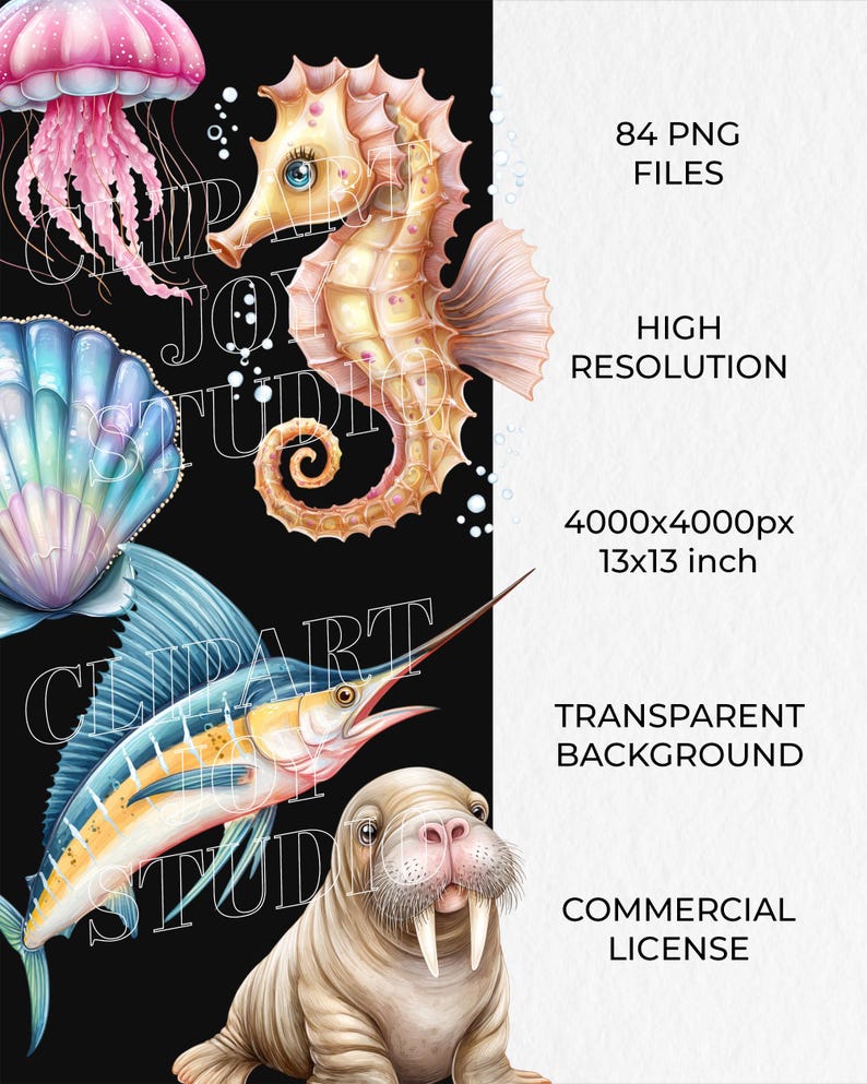 Watercolor Sea Animals Clipart Bundle, Dolphin, Shells, Corals PNG ...