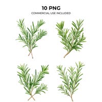 Doodled Leaves Clip Art, PNG Leaf Digital Stamp Printable & Photoshop ...