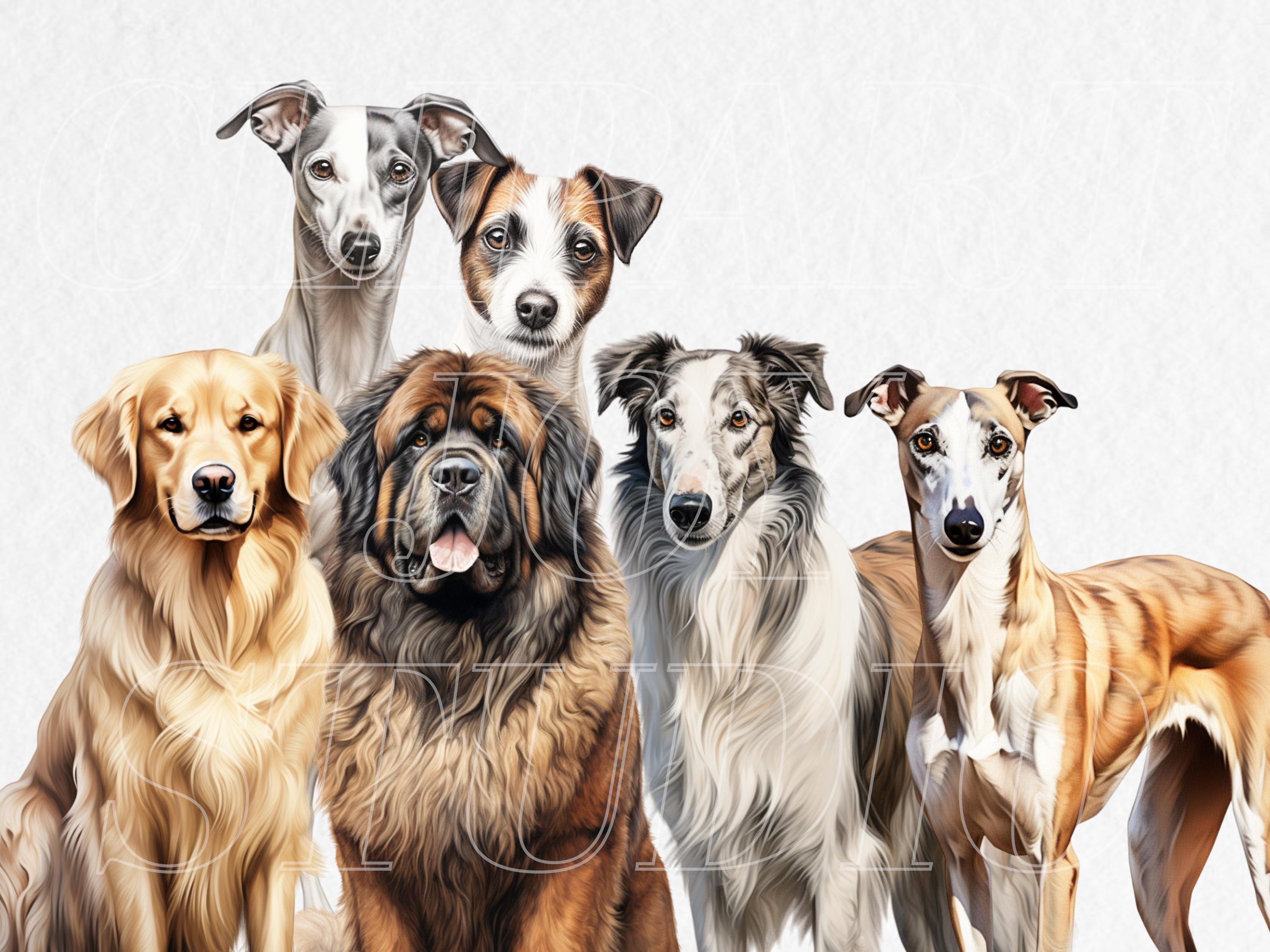 Watercolor Dog Breeds Clipart Bundle - Pets PNG Set (digital Download ...
