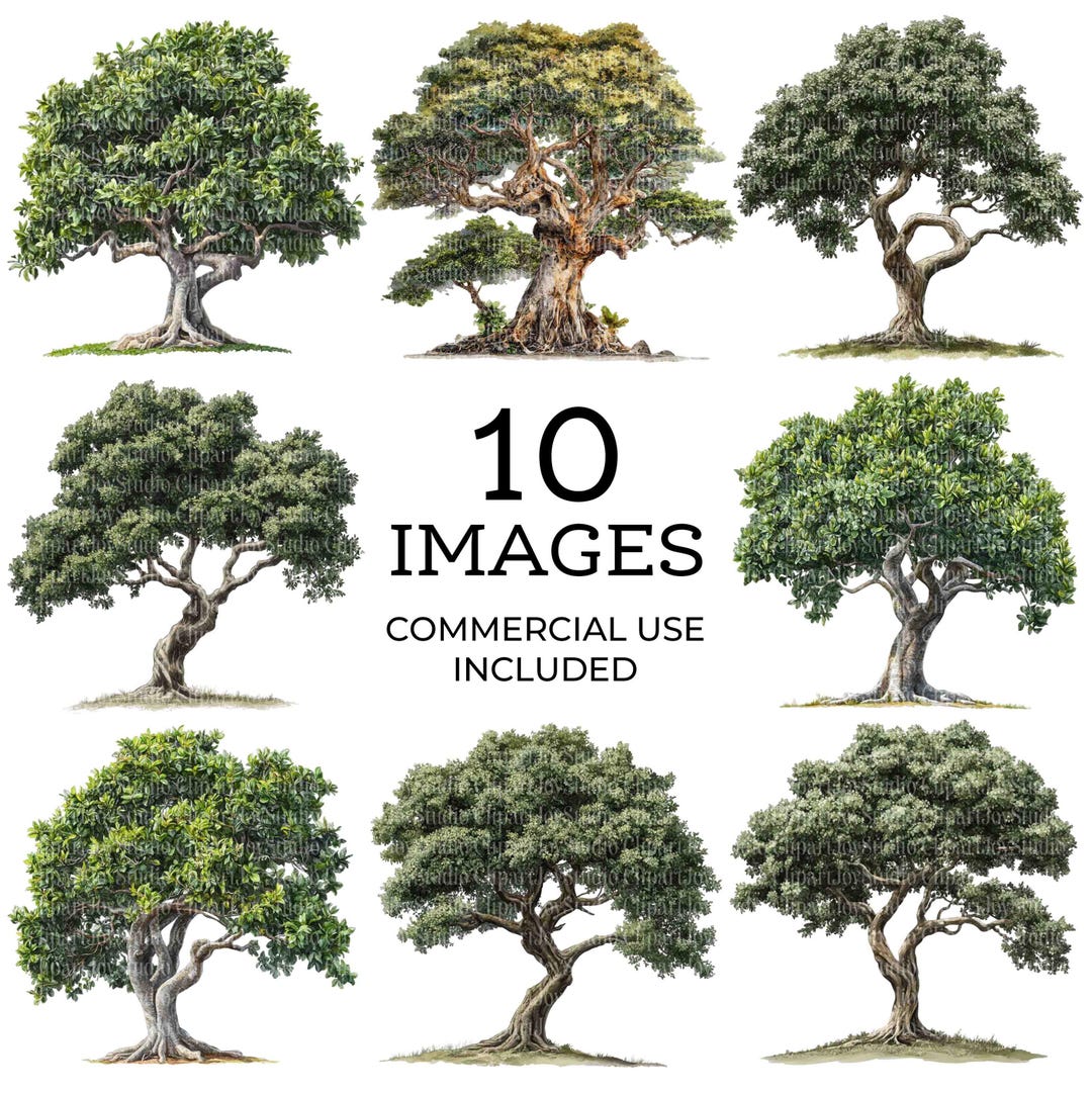 Ancient Tree Clipart Bundle, Oak Tree Clipart, Printable PNG Graphic ...