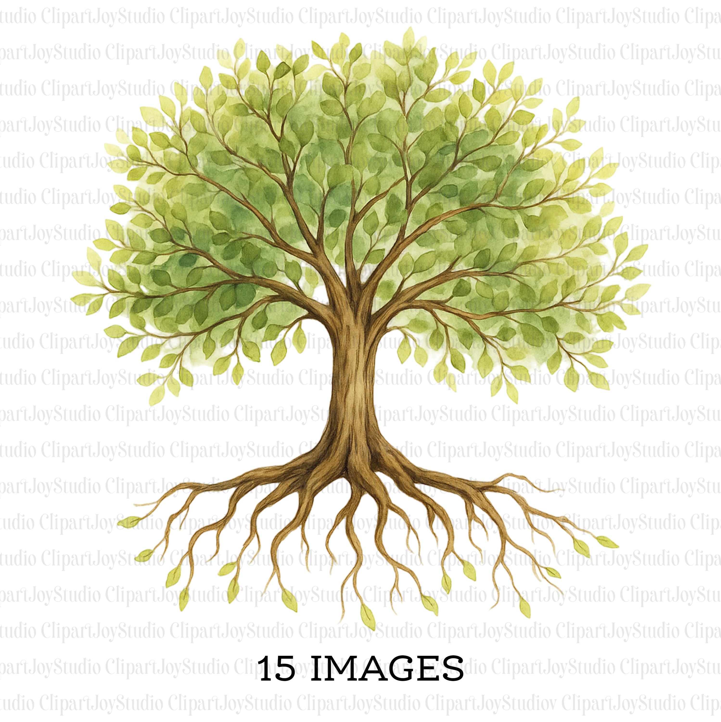 Tree of Life With Roots Clipart, Oak Family Tree, Printable Watercolor ...