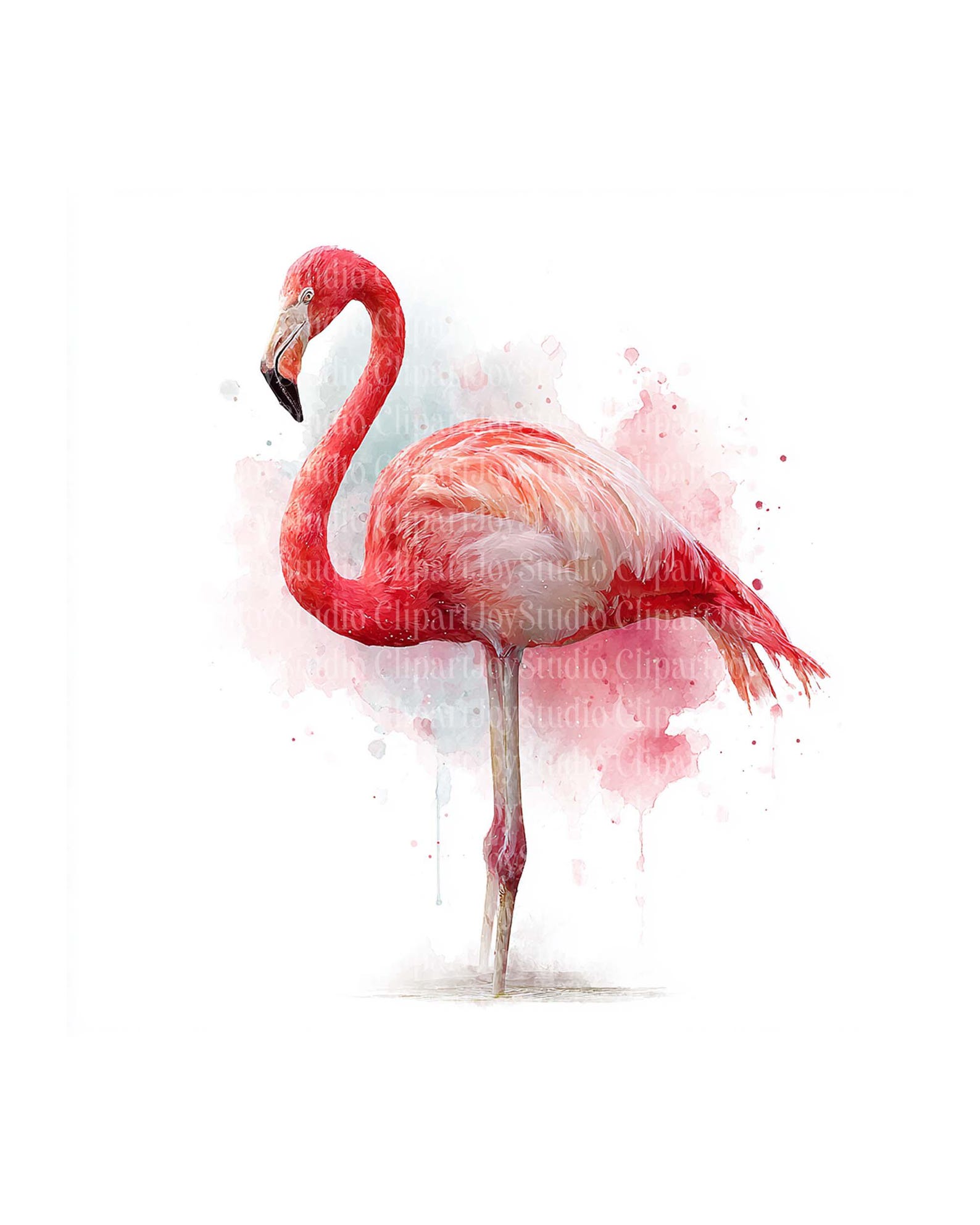 Pink Flamingo Clipart Bundle | Printable Watercolor JPG Images (digital ...