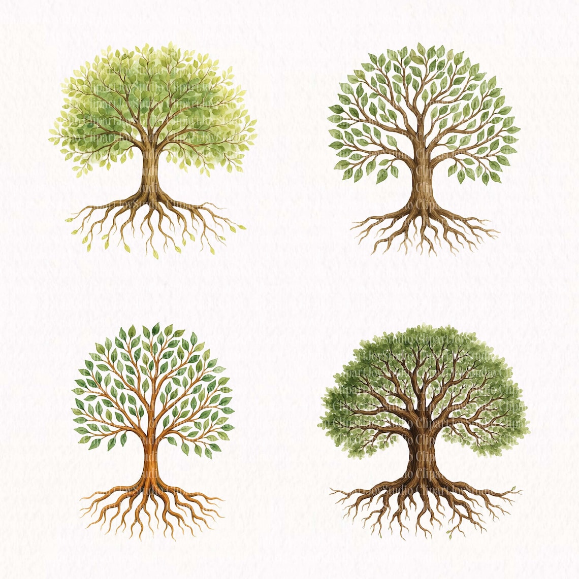 Tree of Life With Roots Clipart | Oak Family Tree | Printable PNG ...