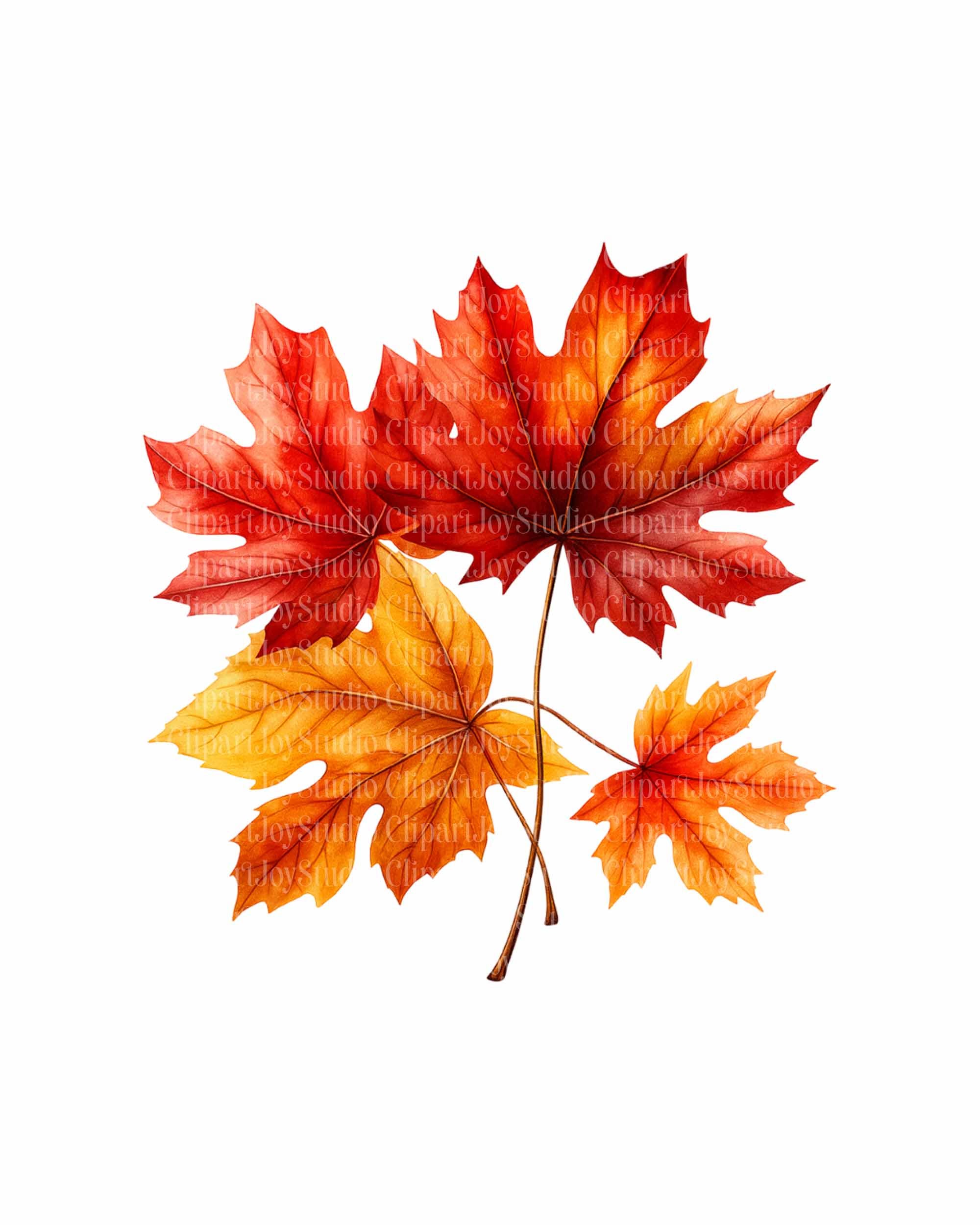 Autumn Leaves Clipart Bundle, Fall Clipart, Autumn PNG Clip Art ...