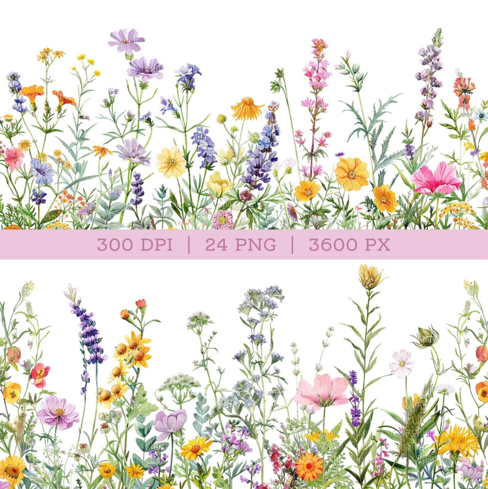 Wildflowers Border Clipart Bundle PNG Graphic, Printable Scrapbook ...
