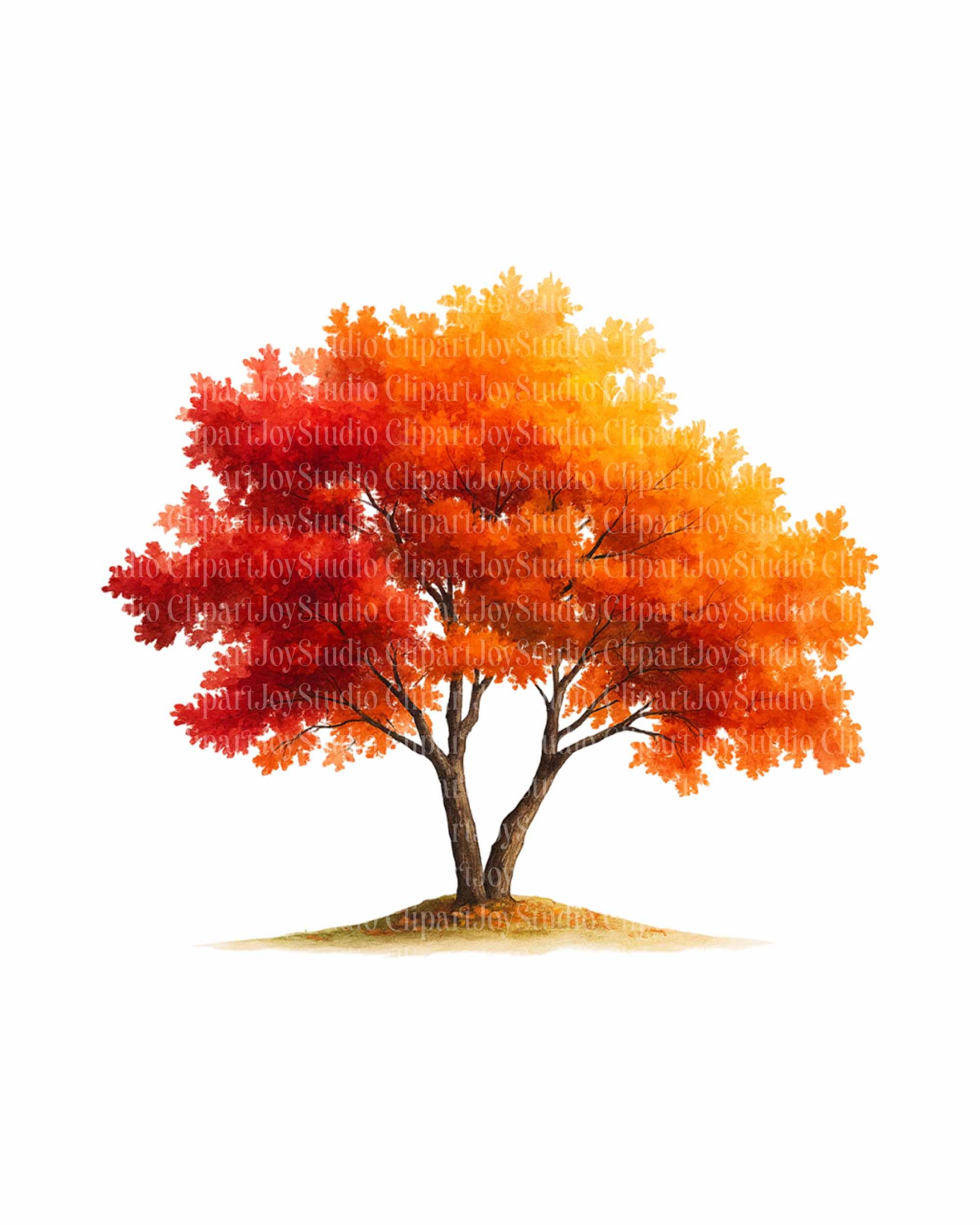 Autumn Trees Clipart Bundle, Fall Tree, Autumn PNG Clip Art, Printable ...
