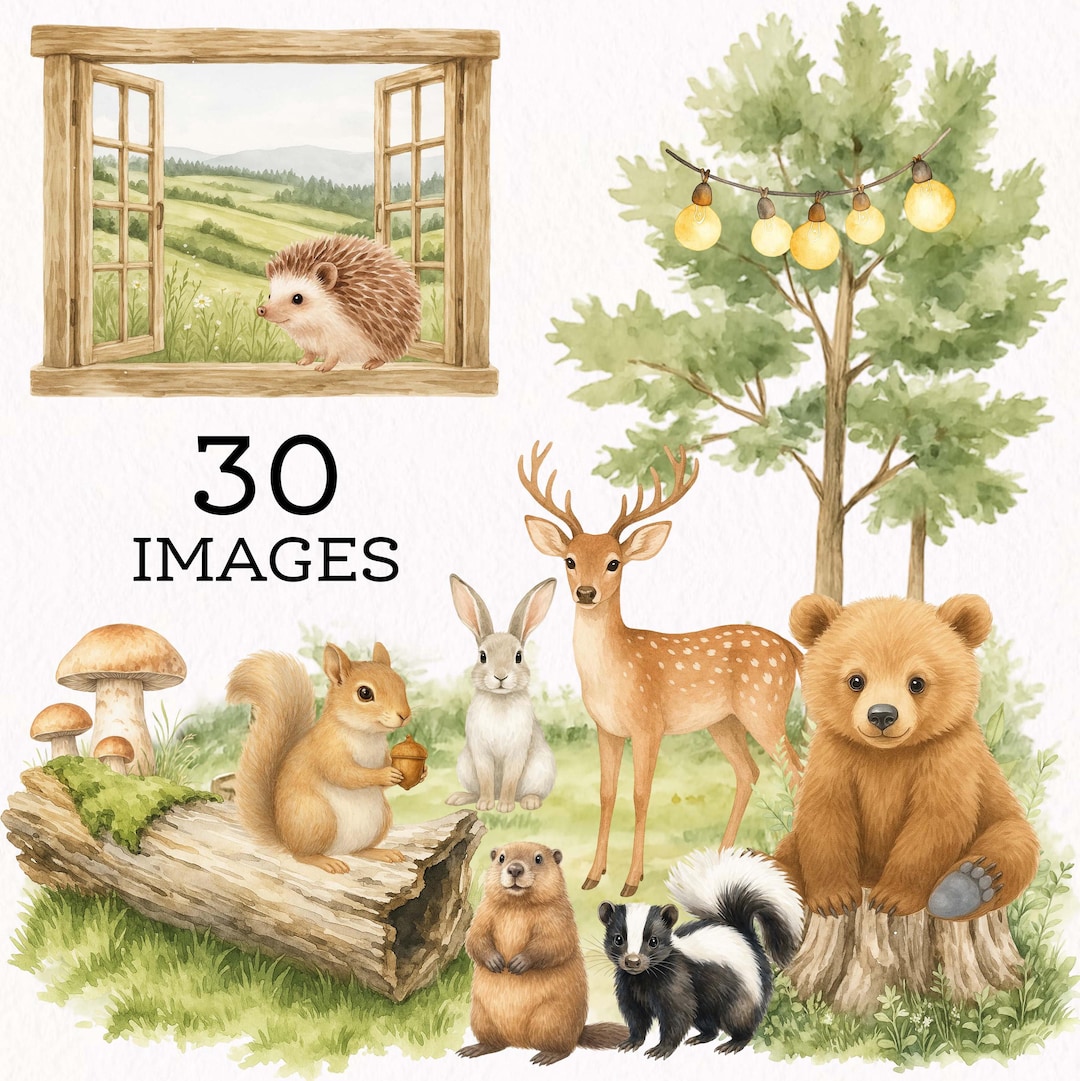 Watercolor Woodland Animals Clipart Bundle, Cute Animals PNG Images ...