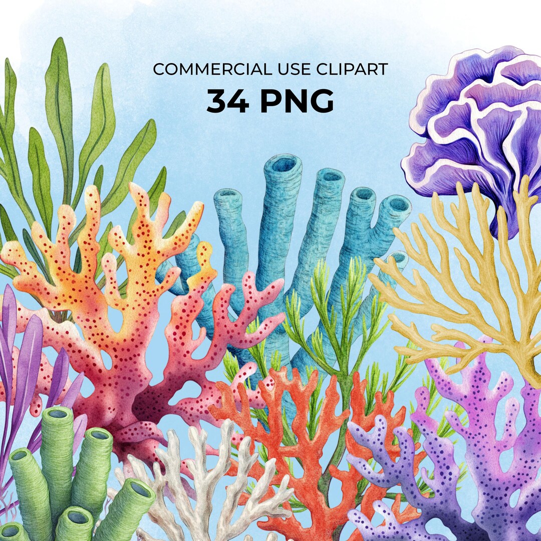 Watercolor Coral Reef Clipart Bundle, Under the Sea Life Clip Art ...