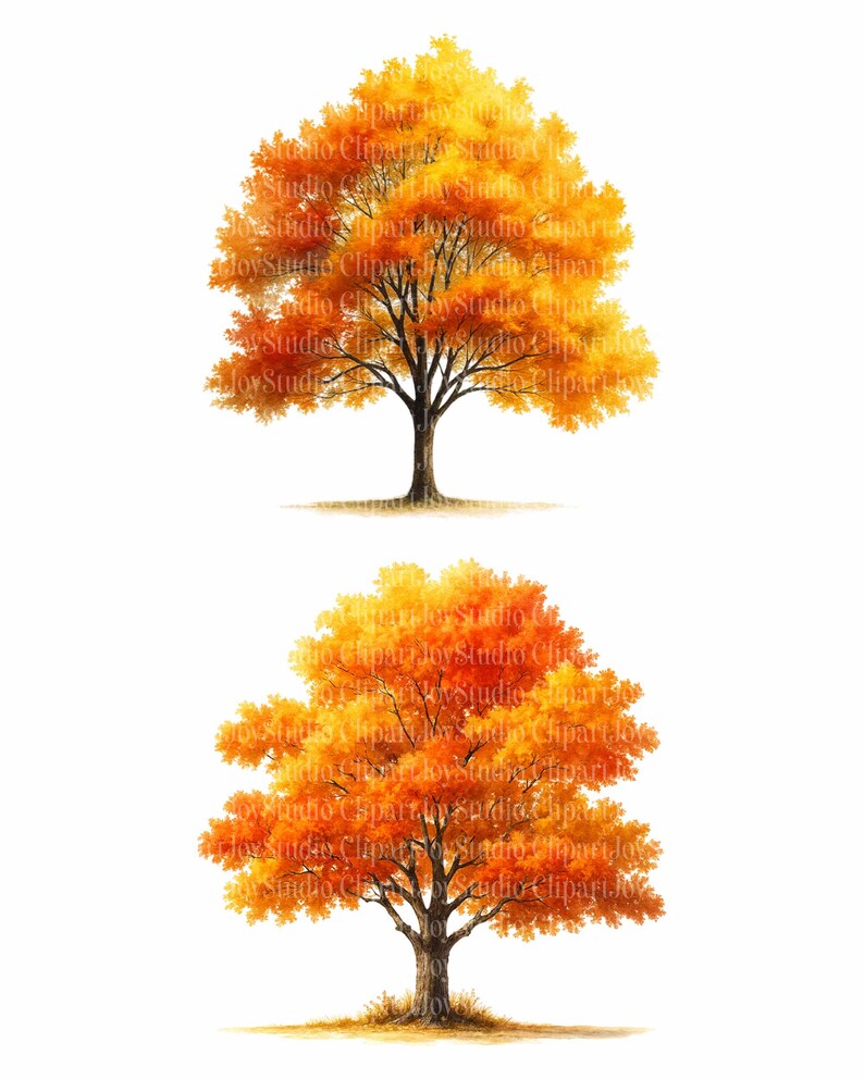 Autumn Trees Clipart Bundle, Fall Tree, Autumn PNG Clip Art, Printable ...