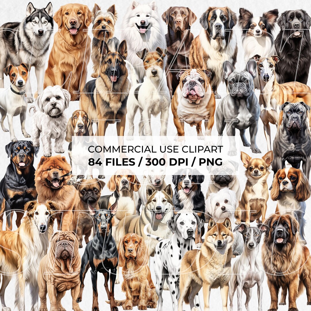 Watercolor Dog Breeds Clipart Bundle - Pets PNG Set (digital Download ...