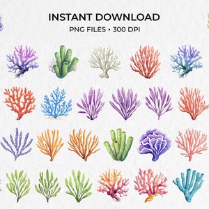 Watercolor Coral Reef Clipart Bundle, Under the Sea Life Clip Art ...