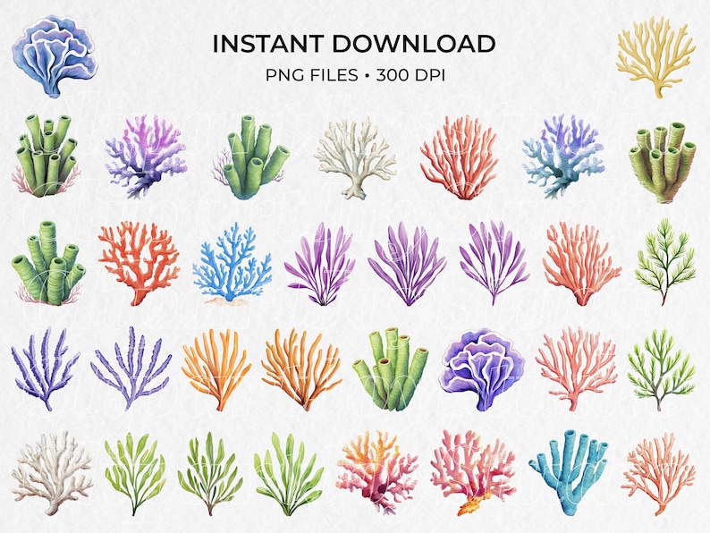 Watercolor Coral Reef Clipart Bundle, Under the Sea Life Clip Art ...